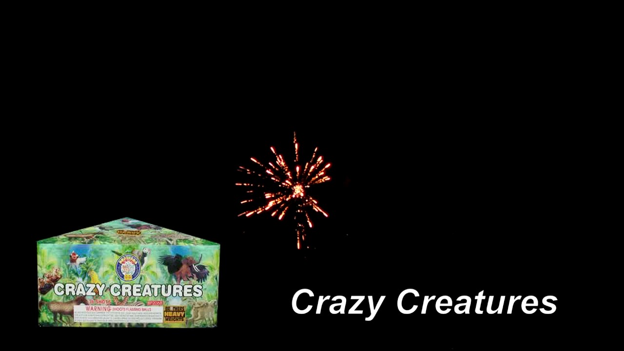 Crazy Creatures - YouTube