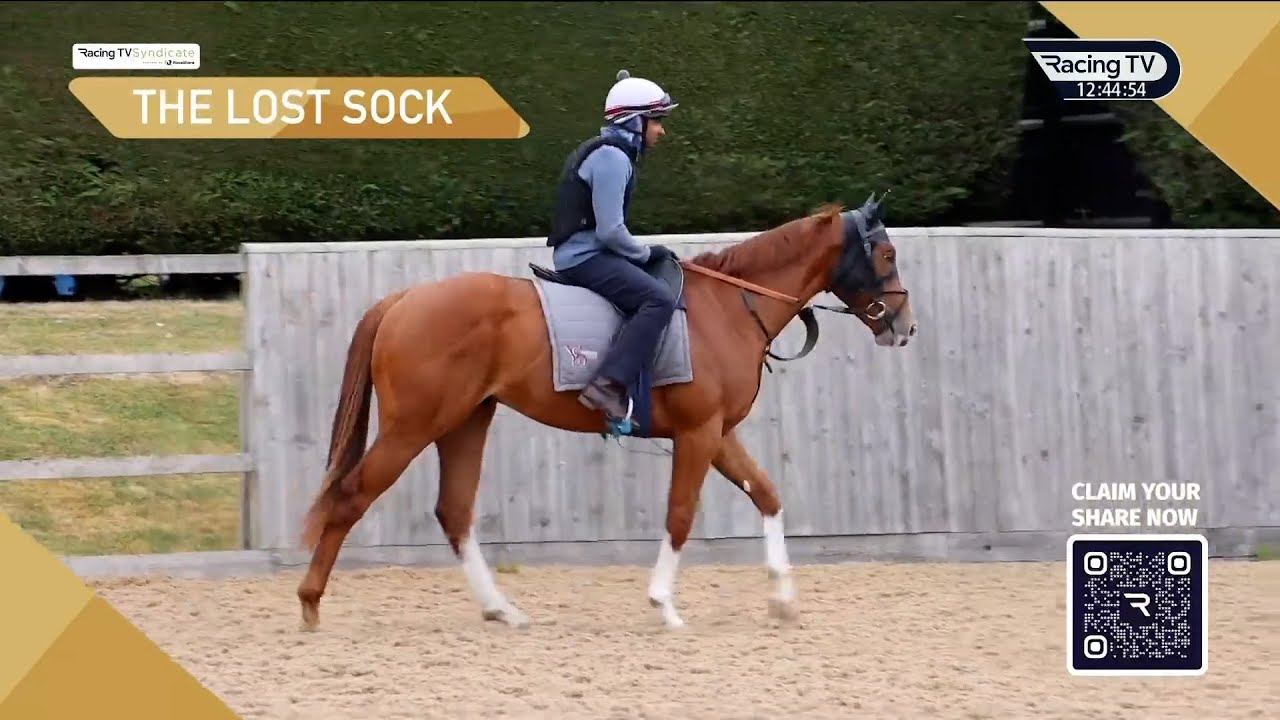 The Lost Sock - Racing TV member horse is introduced to the stalls for ...