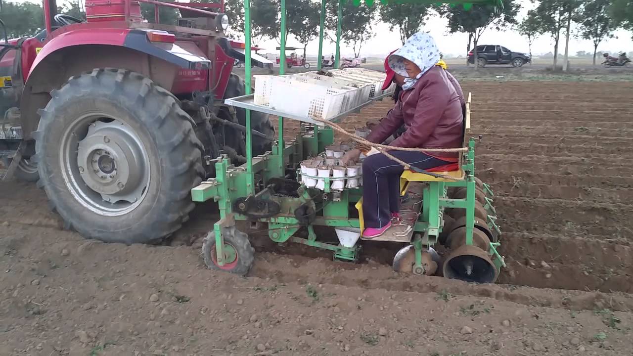 Trailing vegetable transplanter - YouTube