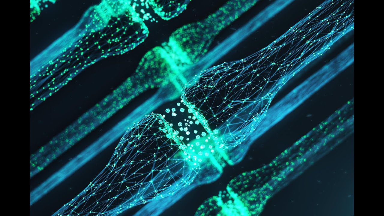 Synapse XT Review - Cognitive Computing Synapse Project: Brain Wall ...