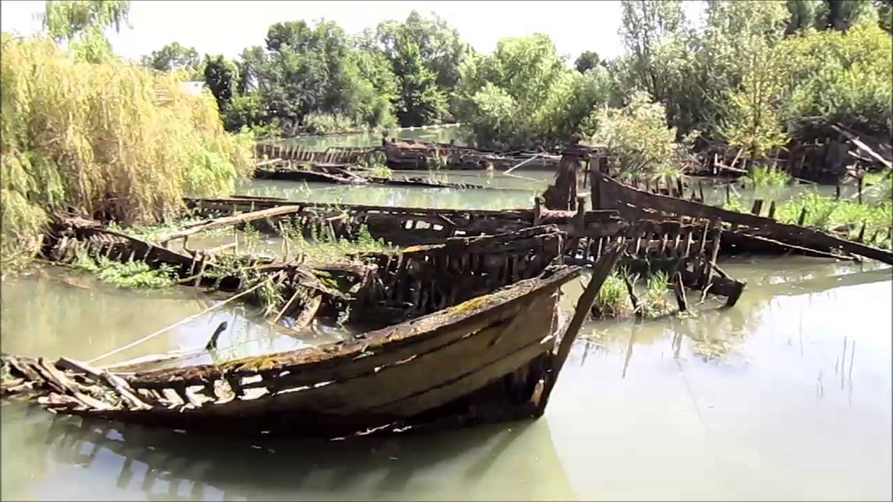 Parco naturale fiume Sile - Anima Critica - YouTube