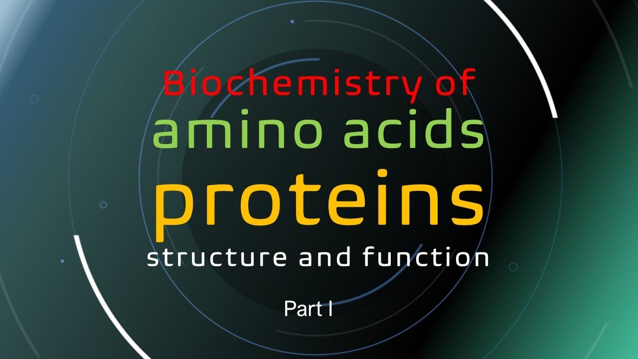 biochemistry of amino acids, proteins ( structure and functions) part 1 ...