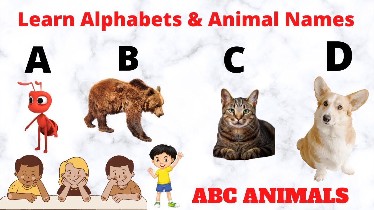 Kids Show Alphabet Animals – Learn the Alphabets & Animal Names | ABC ...