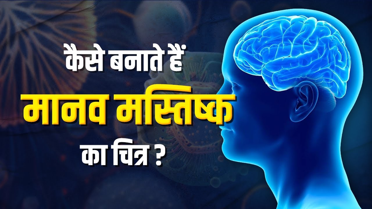Human Brain: Kaise Banaayein Manav Mastishk Ka Chitra? 🎨🧠 - YouTube