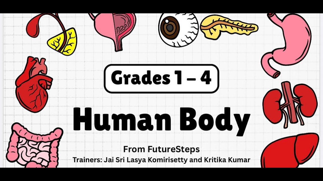 Human Body for Grades 1 - 4. Learn the different human body organs ...