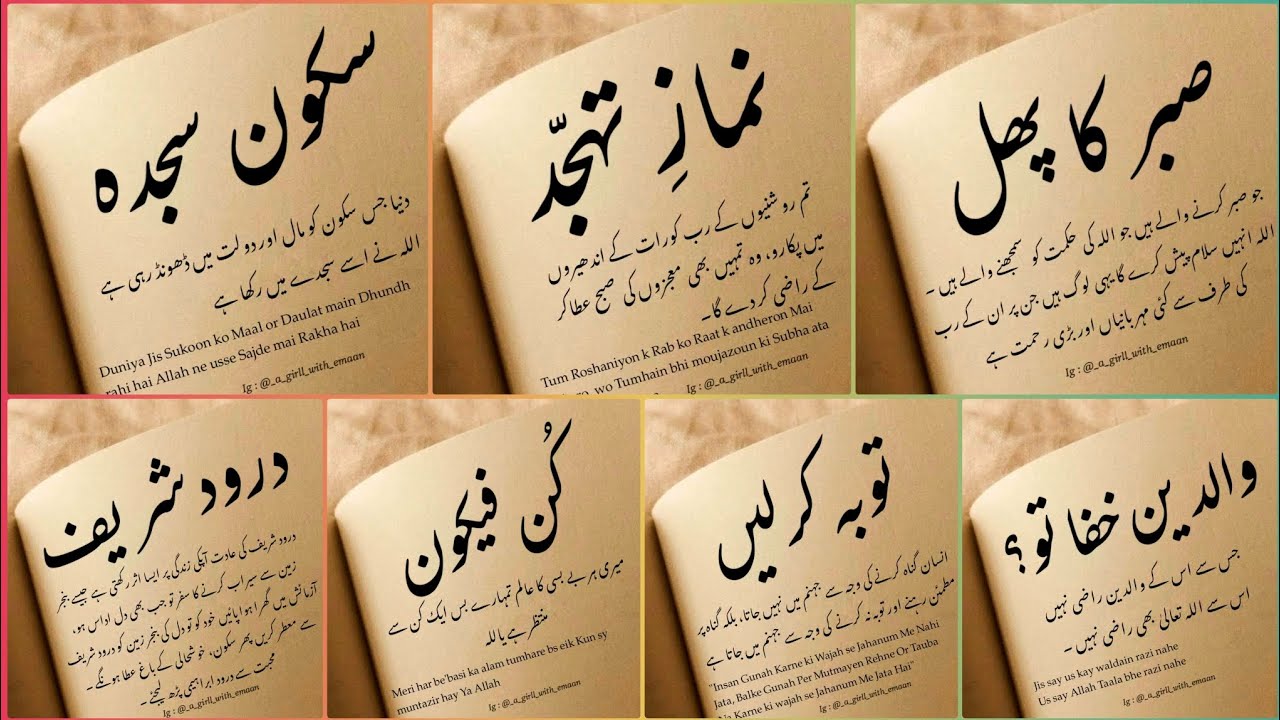 Best Islamic quotes for WhatsApp status | Islamic dp | golden words ...