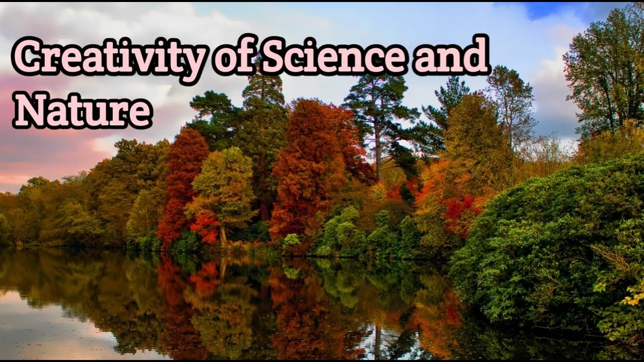 CREATIVITY OF SCIENCE AND NATURE | ALL IN ONE - YouTube