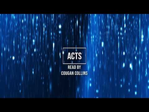 The Book of Acts: Christian Standard Bible by Cougan Collins