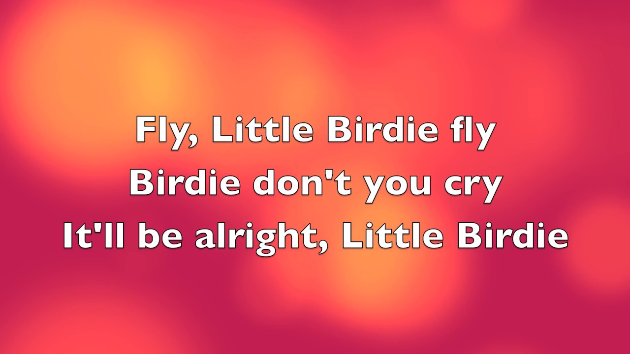 Fly, Little Birdie - YouTube