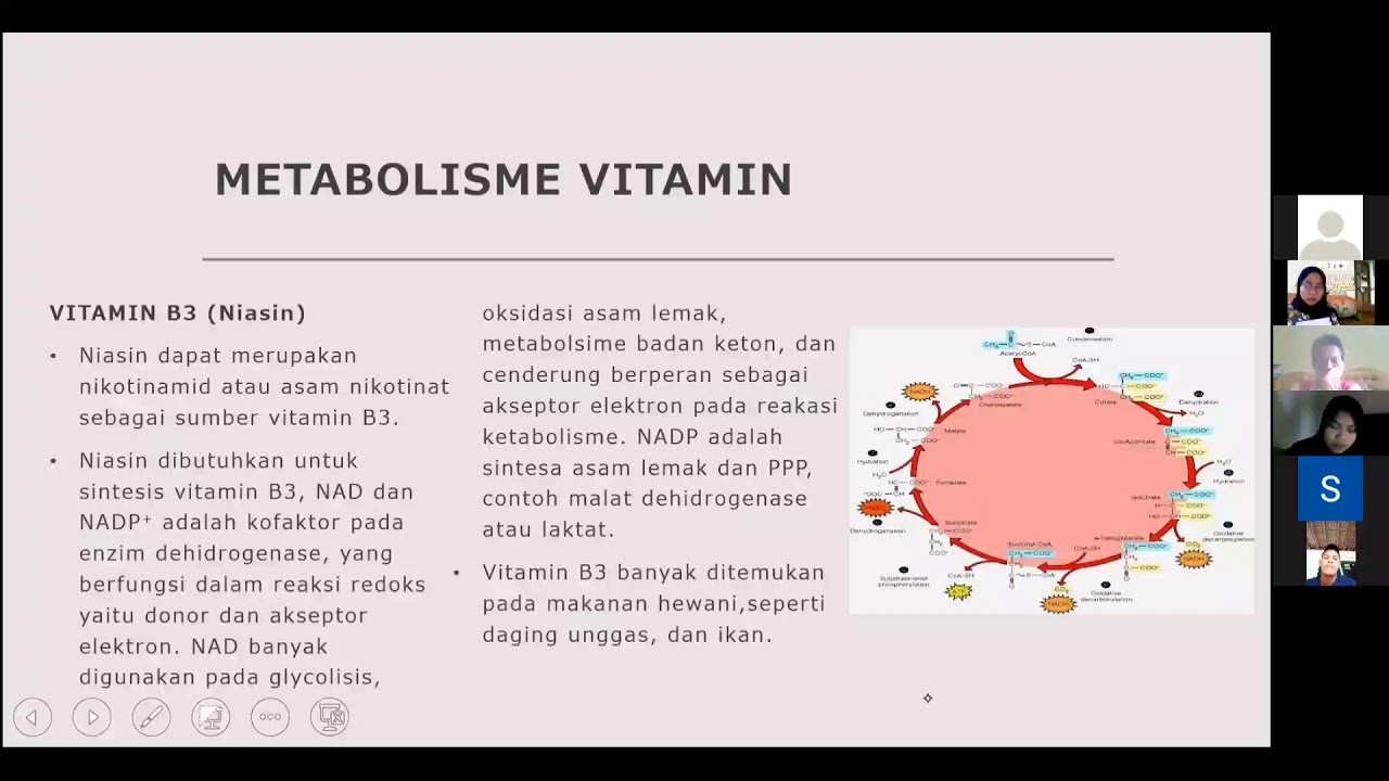 Tugas Biokimia Presentasi Mengenai Metabolisme Vitamin And Mineral