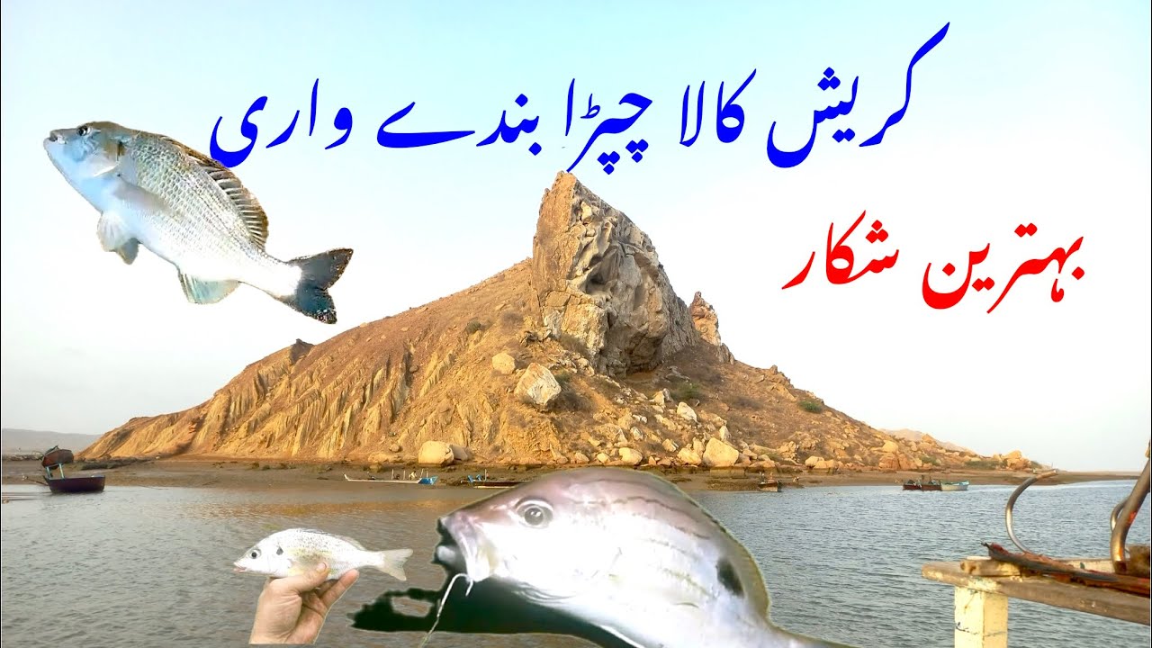kala chapra fishing! karesh fishing! bundy wari fishing! gadani fishing ...