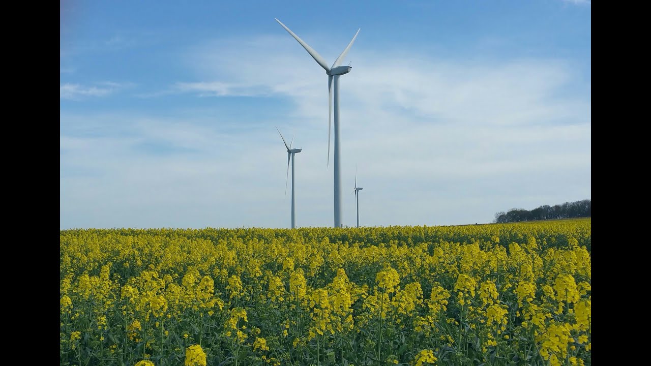 Communities and renewable energy at Hampole Wind Farm - YouTube