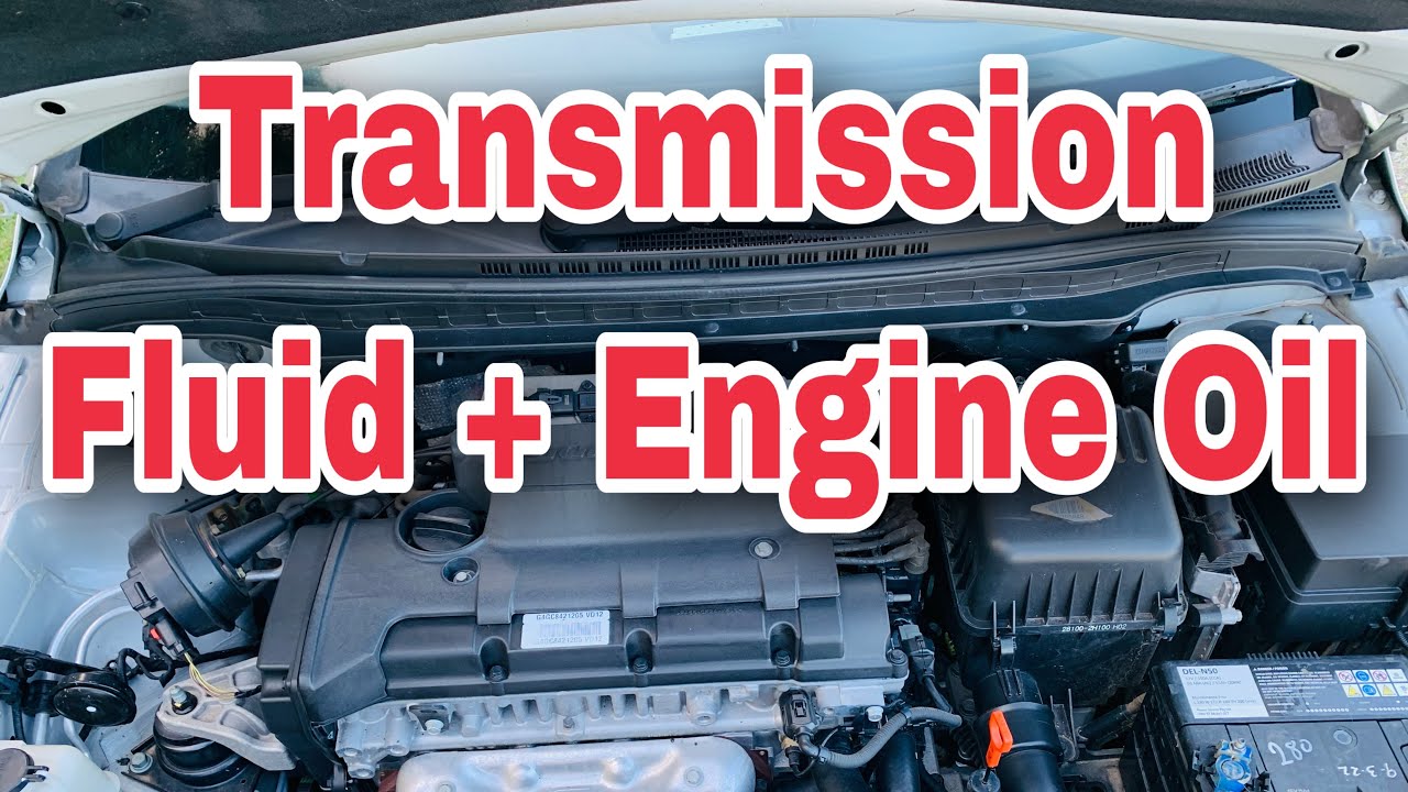 How To Check Transmission Oil: How To Check Engine Oil and Coolant ...