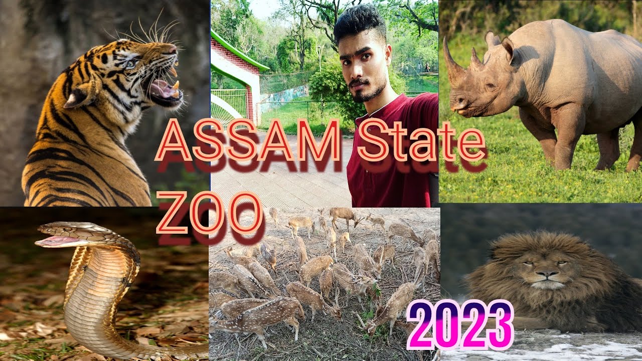 Assam State Zoo cum Botanical Garden। असम स्टेट जो कम बोटेनिकल गार्डन ...