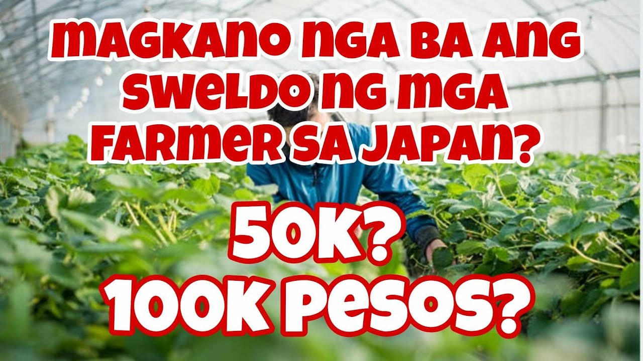 Magkano ang Sweldo ng Farmer sa Japan | Farmer sa Japan - YouTube