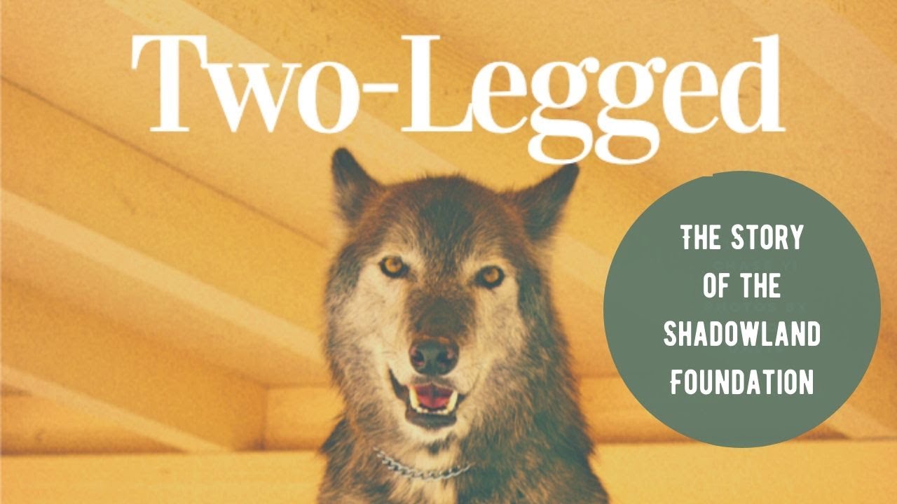 Two-legged | Documentary | Wolves | The Shadowland Foundation - YouTube