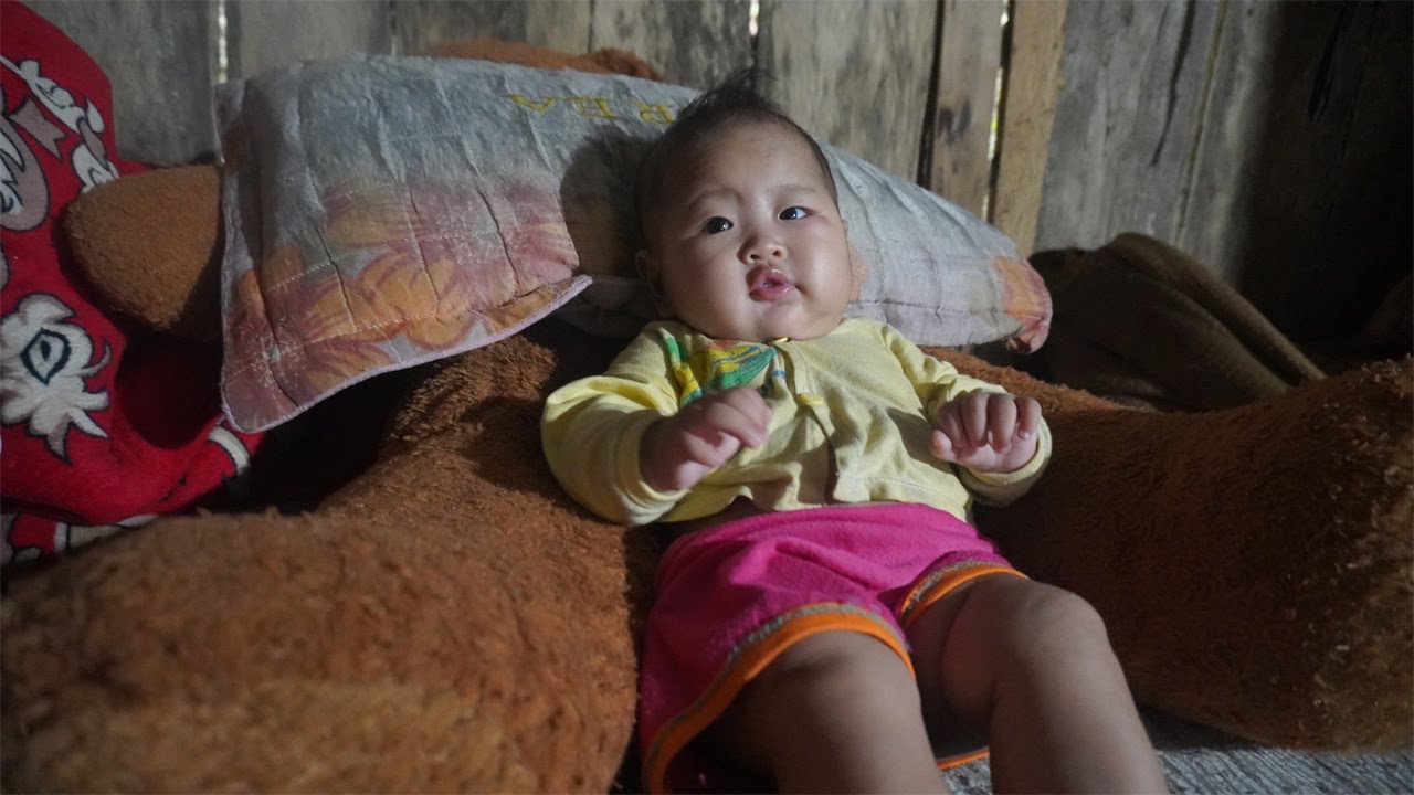 Single mom Farm - Survival Life Building Pigsty From Bamboo, Raising ...