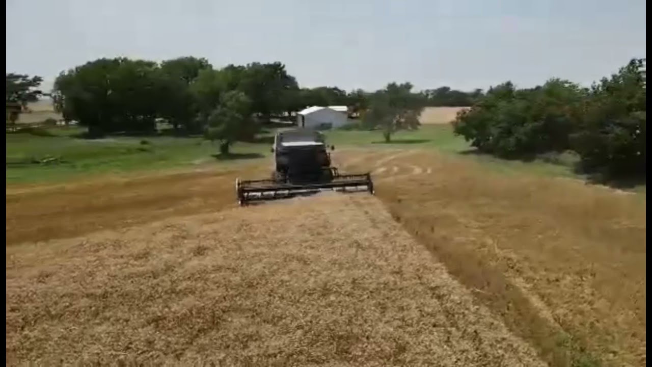 Dirt Poor Farms Wheat Harvest 2021 - YouTube