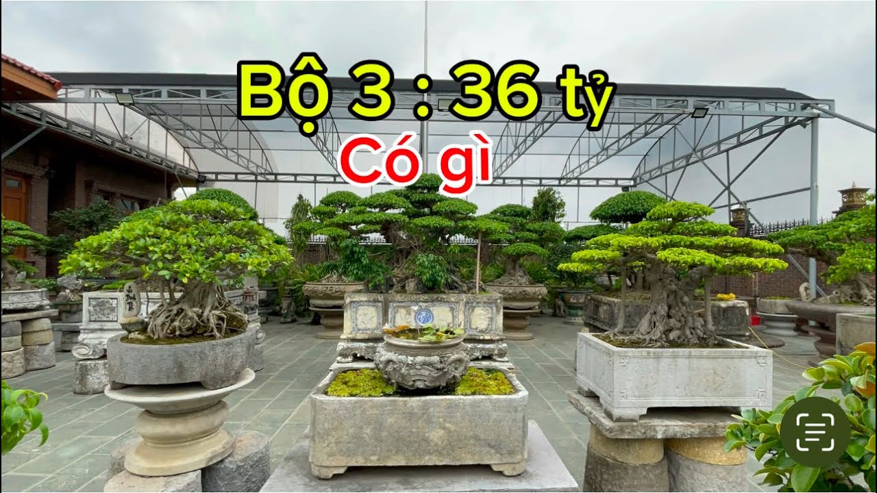 Bộ ba : 36 tỷ có gì đặc biệt. Hãy cùng khám phá phần1 - YouTube
