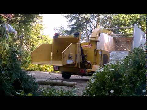 Rayco 814 Wood chipper - YouTube