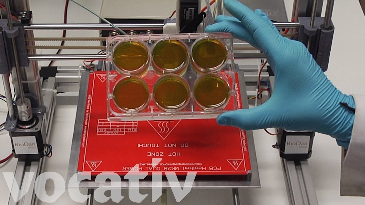 3D-Bioprinter Creates Skin Made From Human Cells - YouTube