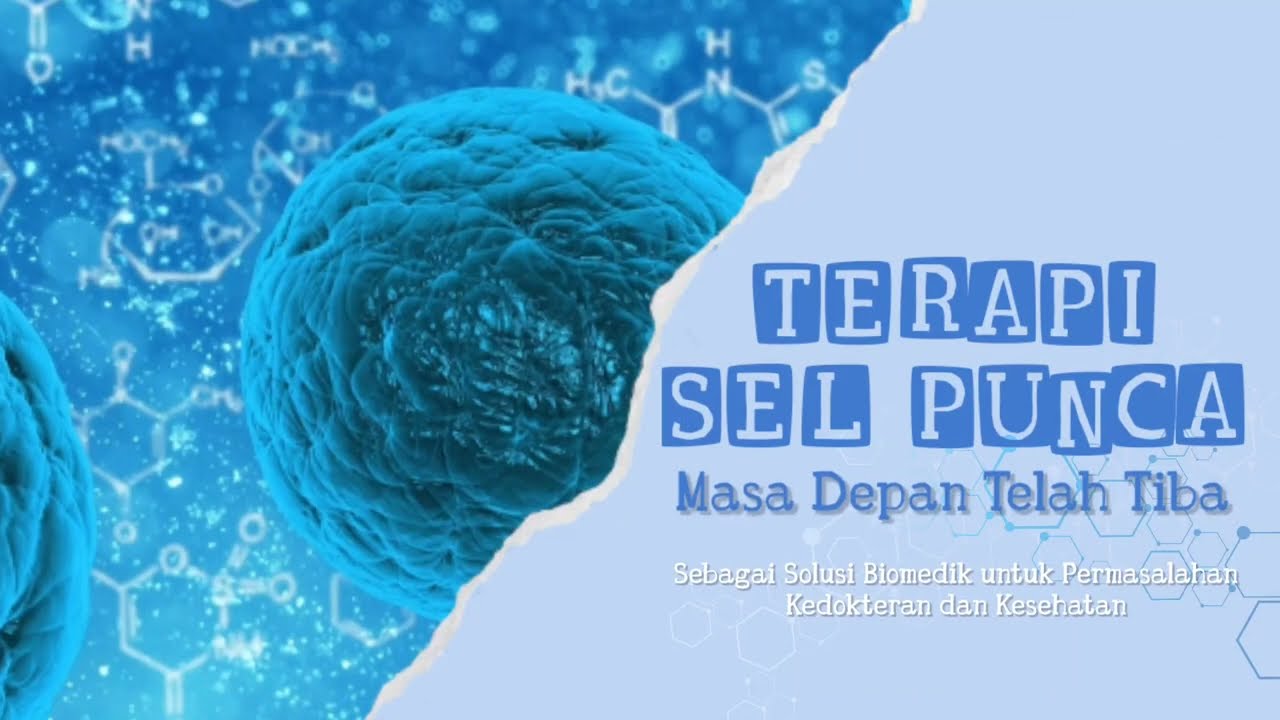 Terapi Sel Punca: Masa Depan Telah Tiba - YouTube