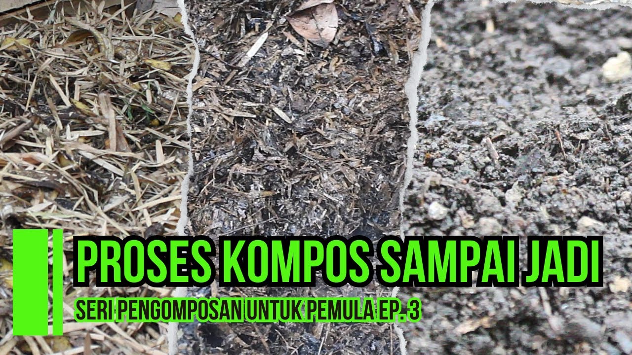 Proses Kompos Sampai Jadi | Runtut beserta Penjelasan | Seri ...