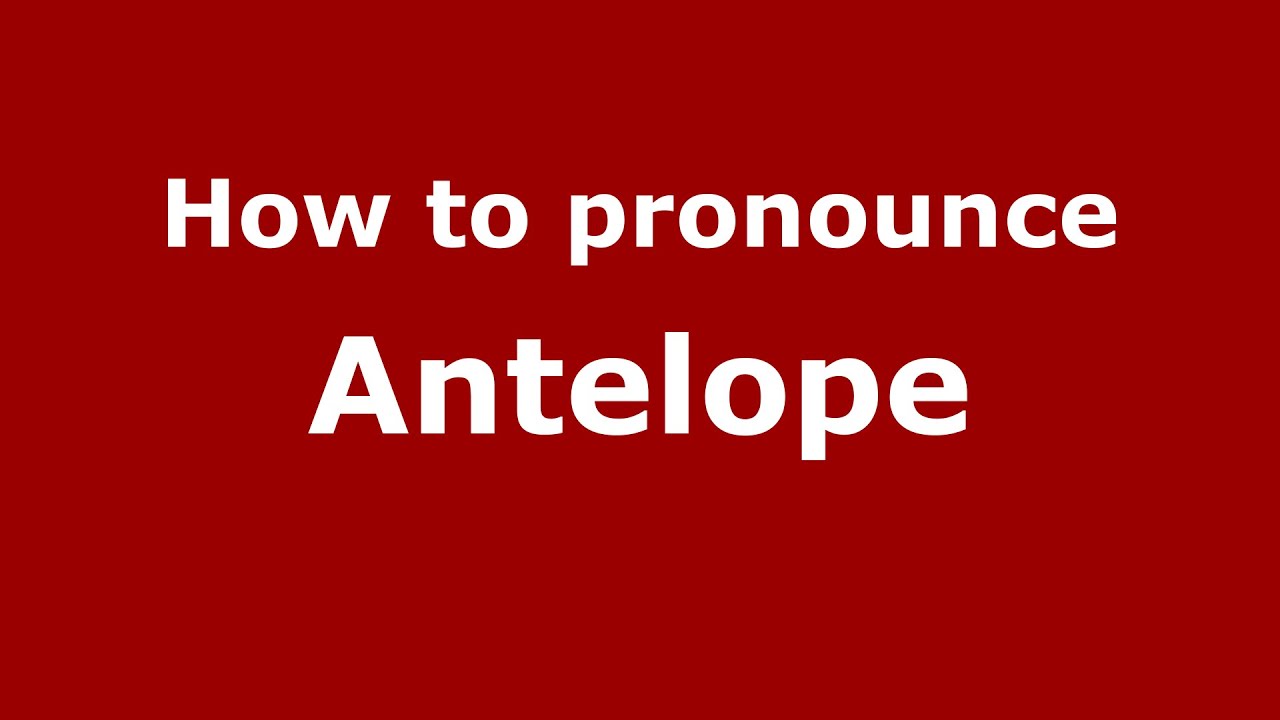 How to pronounce Antelope (American English/US) - PronounceNames.com ...