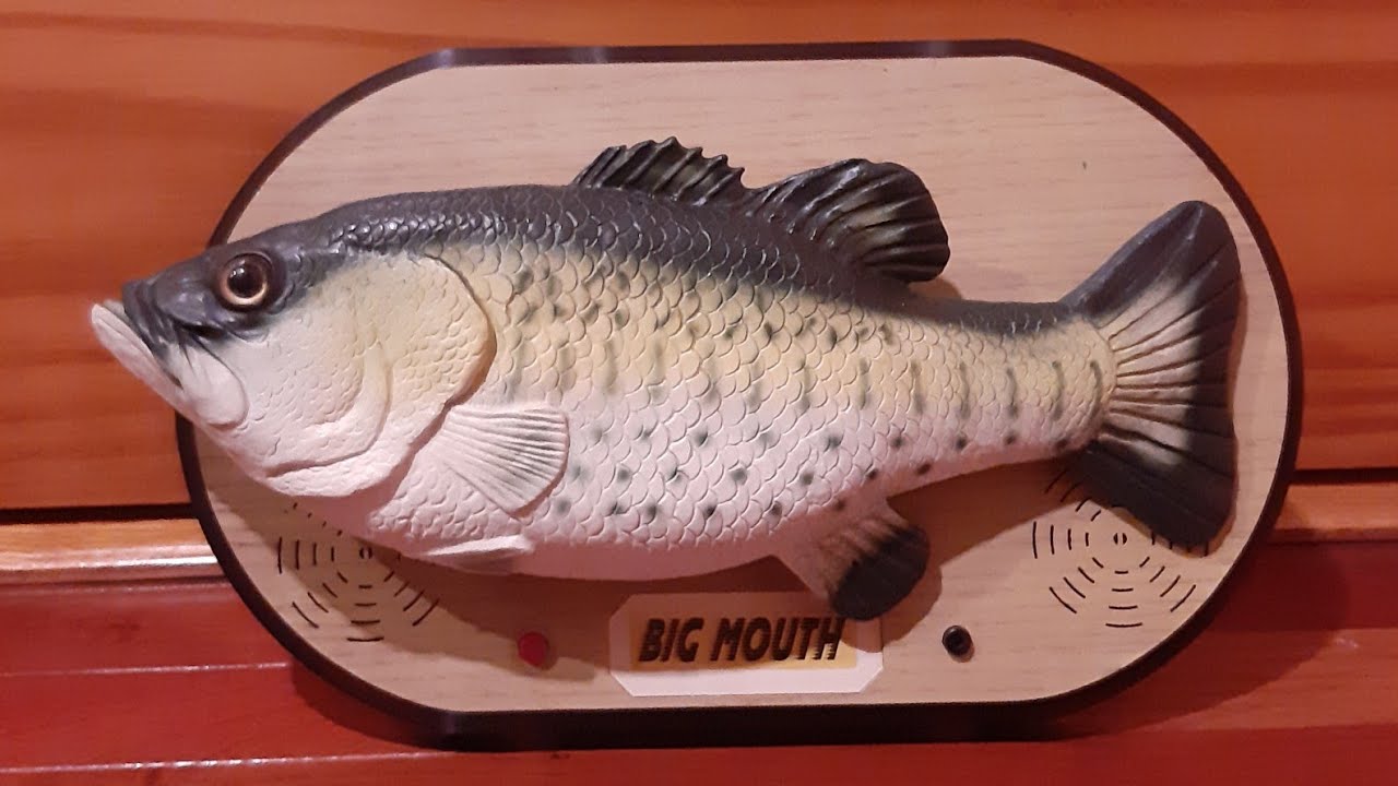 Big Mouth the Singing Sensational Fish - YouTube