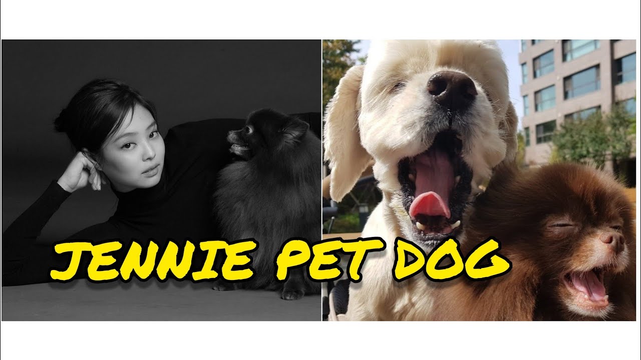 JENNIE PET DOG SO CUTE - YouTube