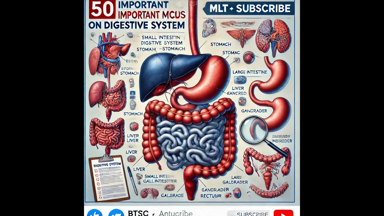 #IMP 50 MCQ #BTSC ANATOMY DIGESTIVE SYSTEM #trending #viralvideo # ...