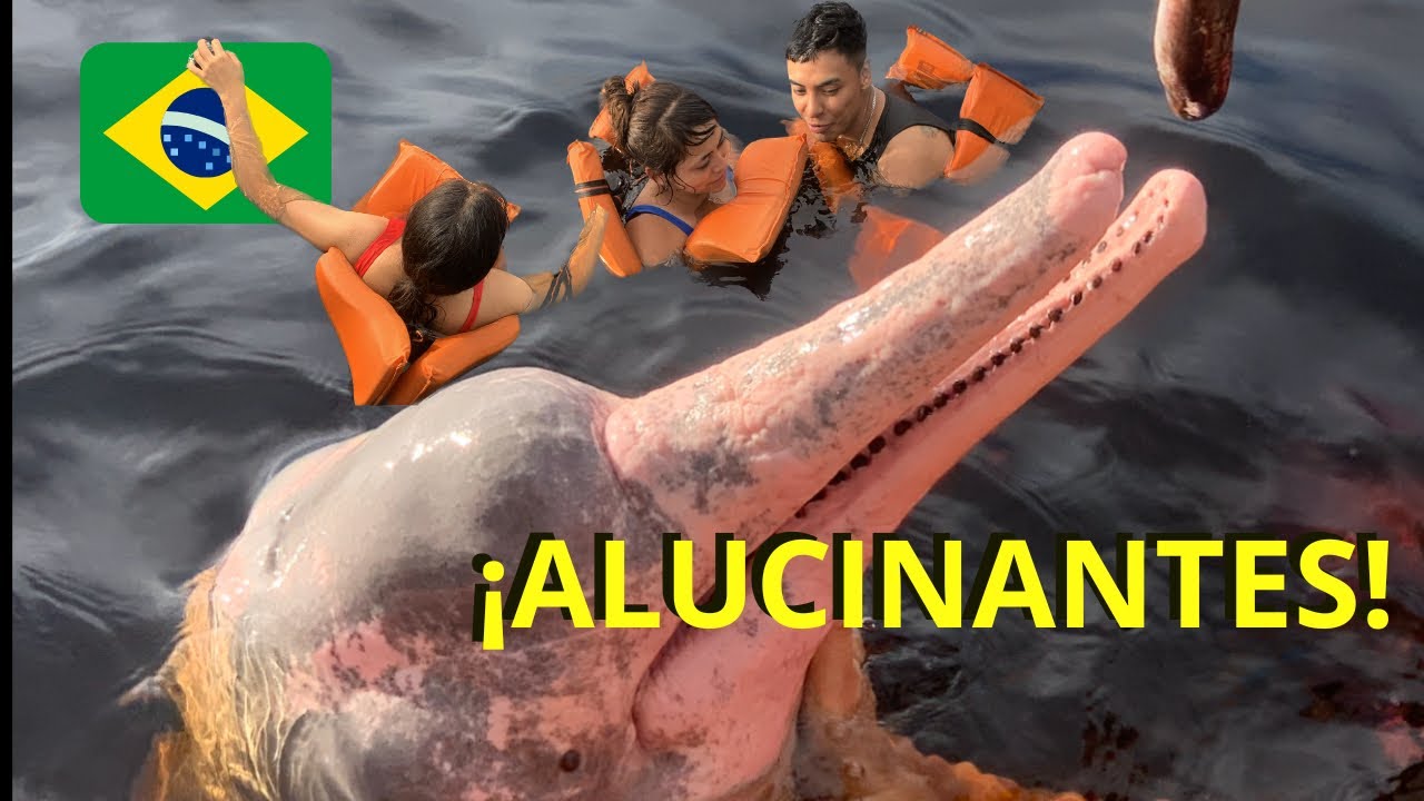 Los delfines en el Amazonas SON ROSAS? 😱😨 - YouTube