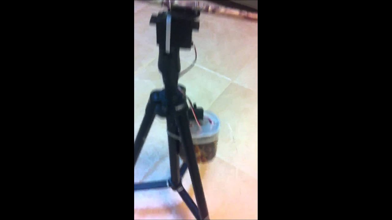 Motorized Turkey Decoy Pt 2 - YouTube