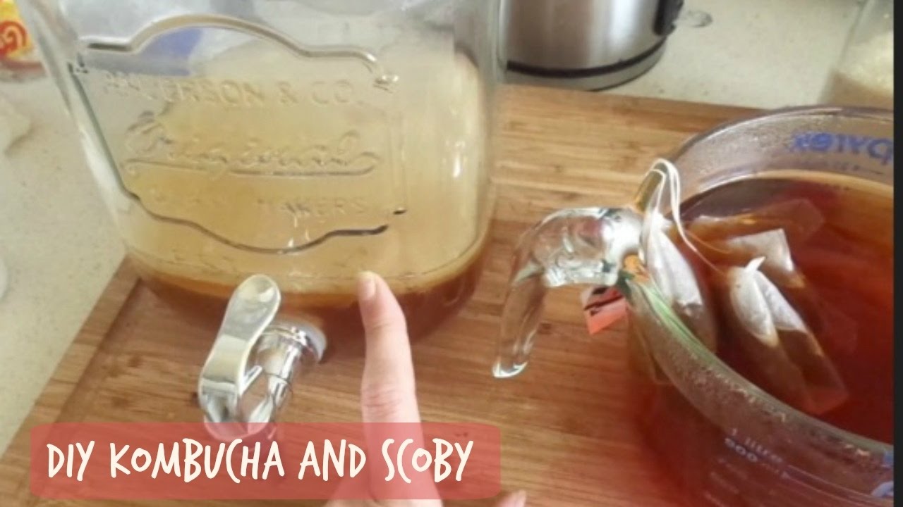 DIY Kombucha and SCOBY Recipe - YouTube