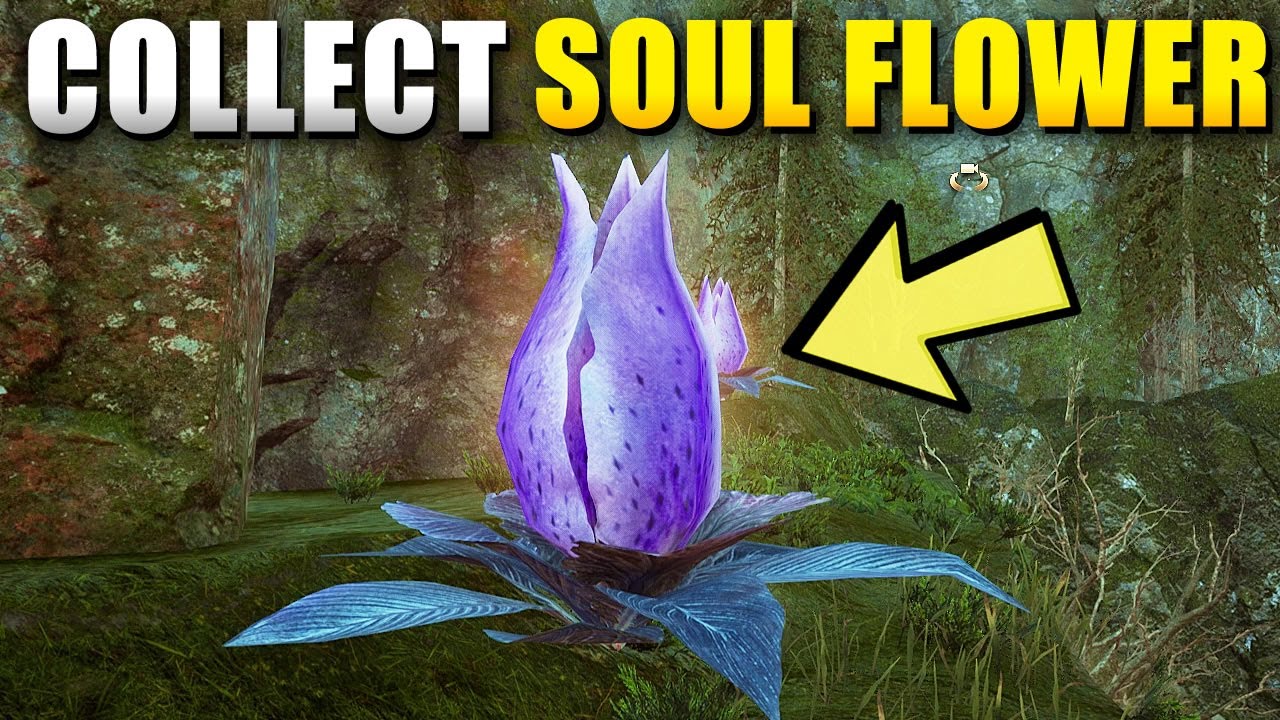 Throne & Liberty Collect the Soul Flower at The Heaven Ceremony of the ...