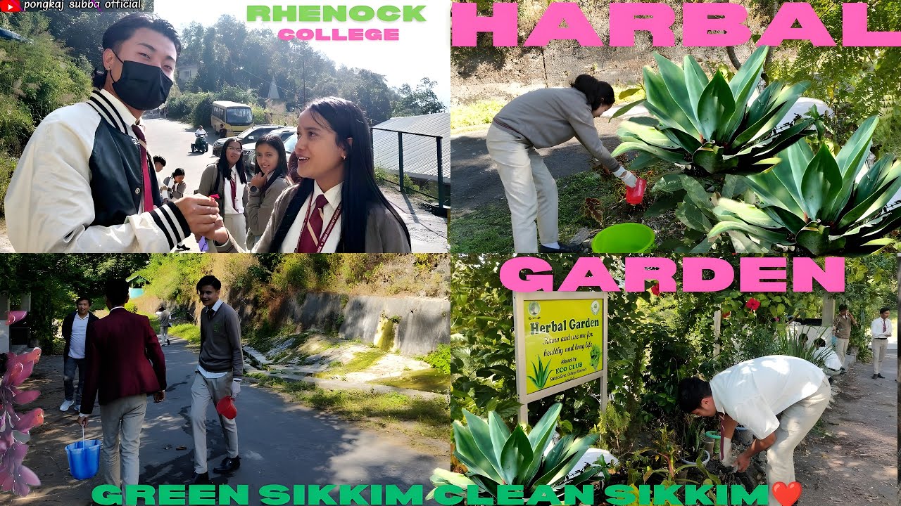 Rhenock college Harbal garden,😍 #vlog #sikkim #gardening - YouTube