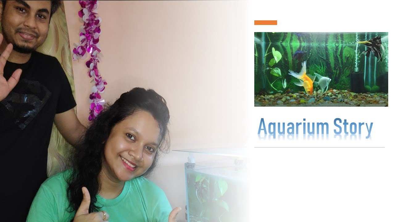 Our Aquarium Story - YouTube