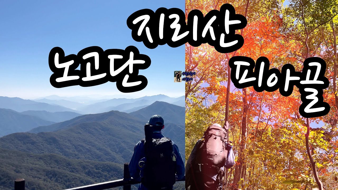 지리산 성삼재 노고단 피아골 단풍 현황 2021.10.22 Chiri-san - YouTube