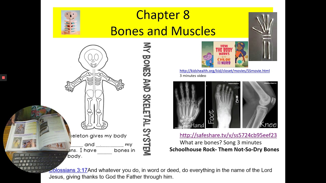 4-29-20 Science Bones-Hand Skeleton - YouTube