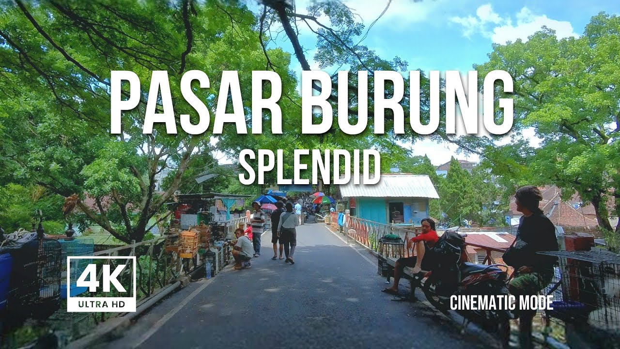 4K HDR Indonesia travel 2025 | Walk in SPLENDID MALANG CITY | Relaxing ...