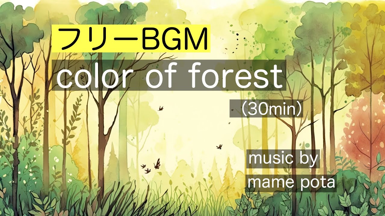 フリーBGM 】color of forest / mame pota【 作業用 ・ 勉強用BGM / 映像・動画・配信 】 - YouTube