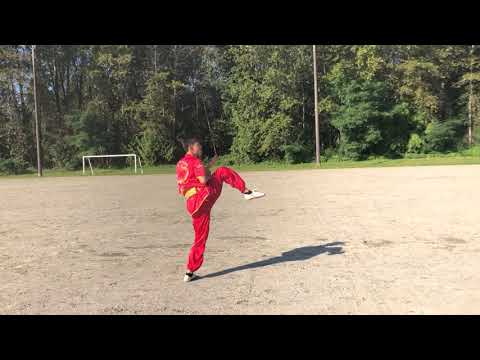 Tang Lang Quan (Praying Mantis) by Hongyu Zhang - YouTube