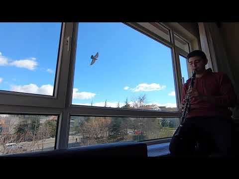 KLARNET İLE MÜZİKLER-HİCAZ SAZ SEMAİ(GARİP)