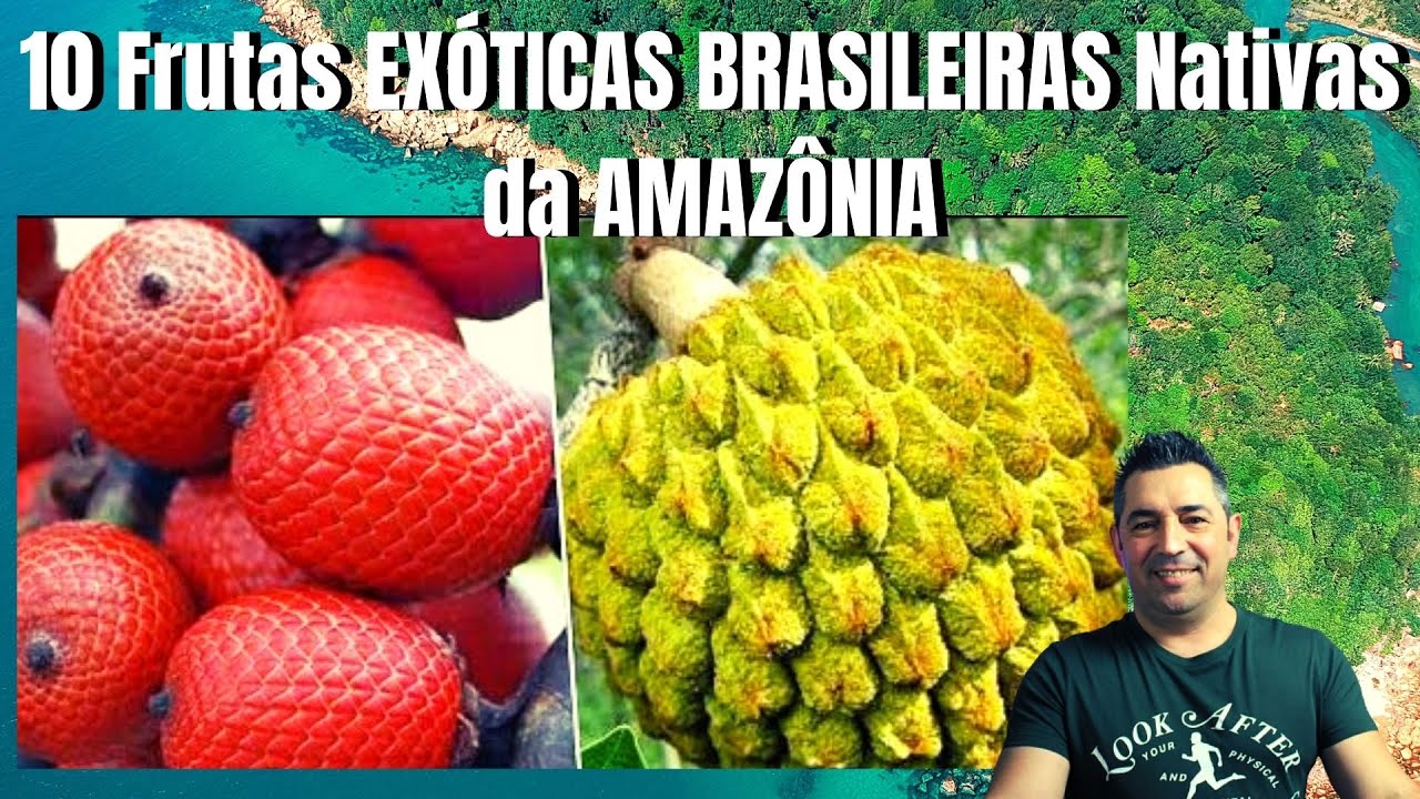 Português fica a conhecer 10 Frutas EXÓTICAS BRASILEIRAS Nativas da ...