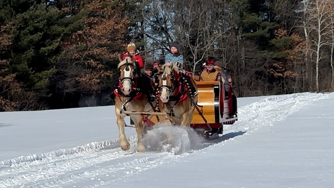 Schmidt Sleigh Ride - YouTube