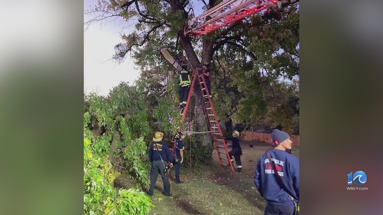 Man rescued from tree in Suffolk - YouTube