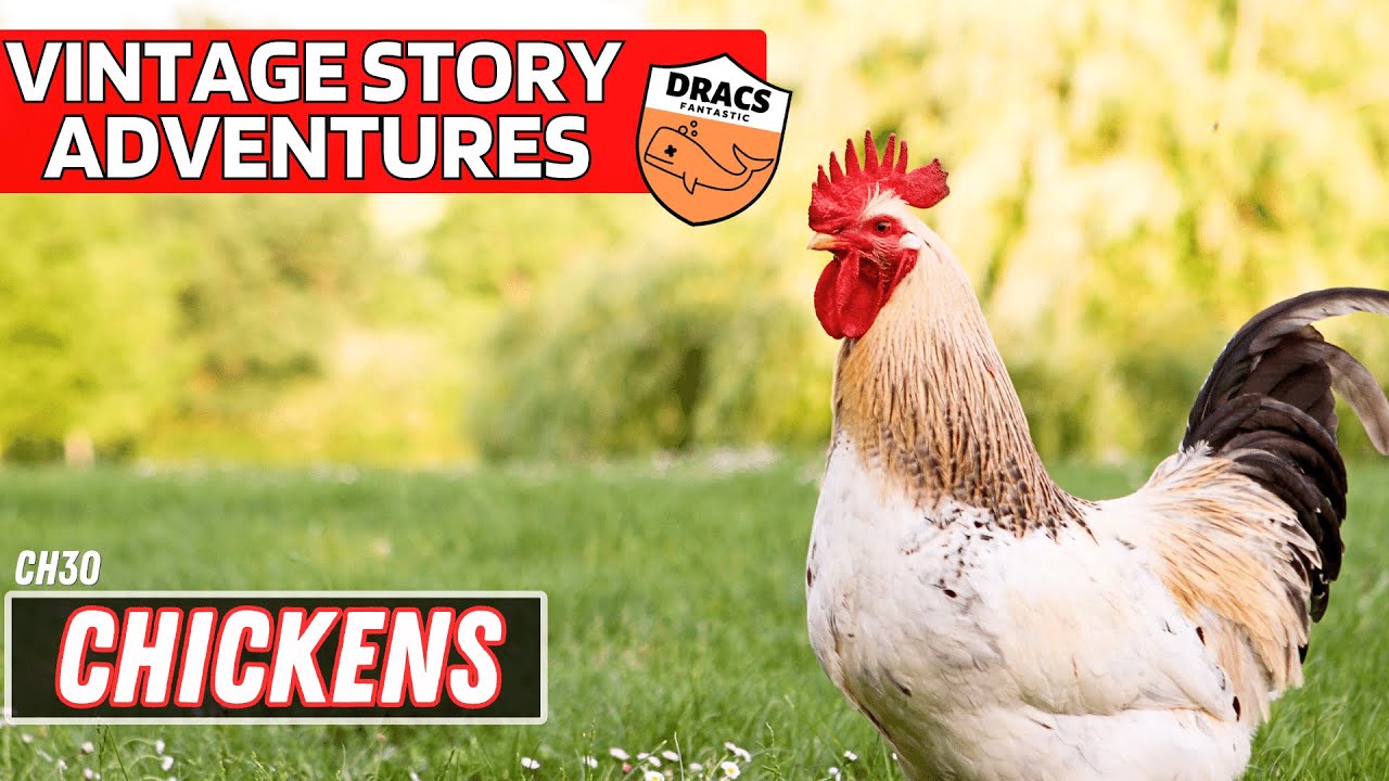 VINTAGE STORY ADVENTURES: CHICKENS - YouTube