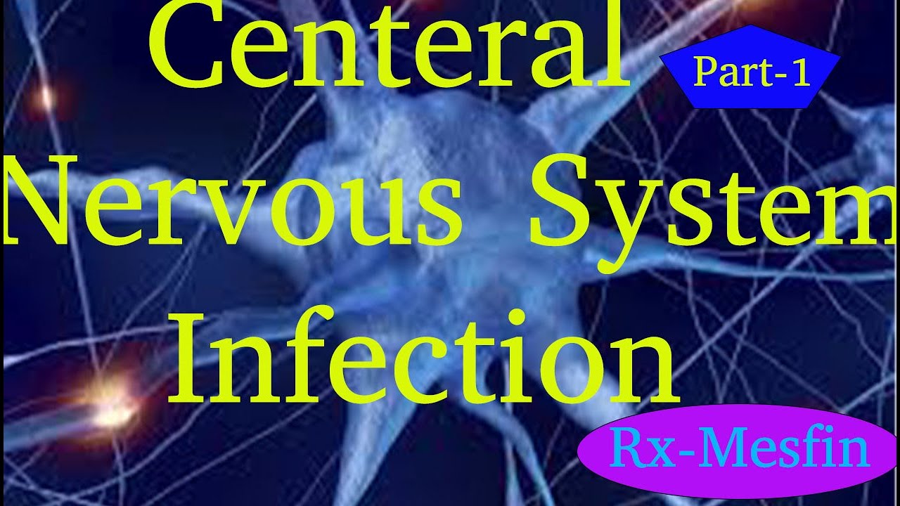 Central nervous system infections disease | Part 1 | Health | CNS ...