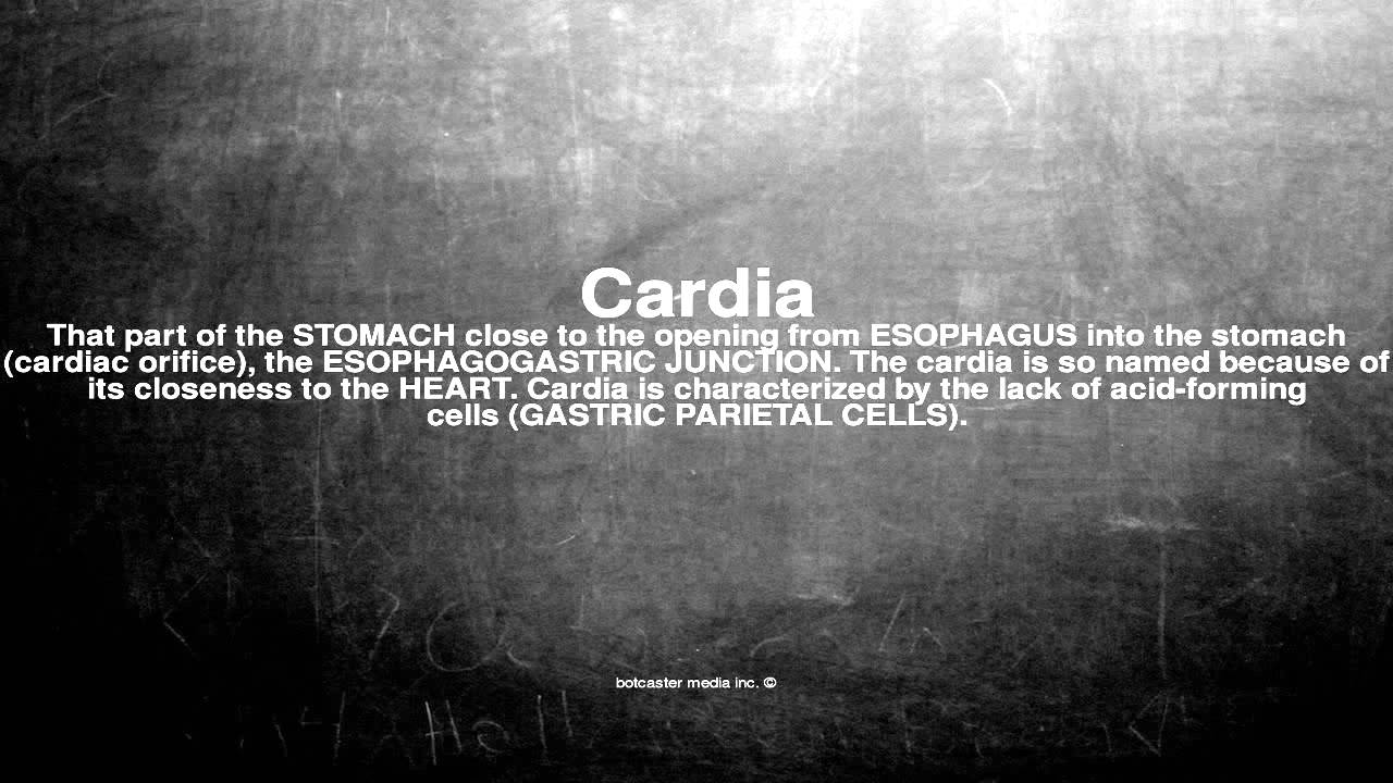 Medical vocabulary: What does Cardia mean - YouTube
