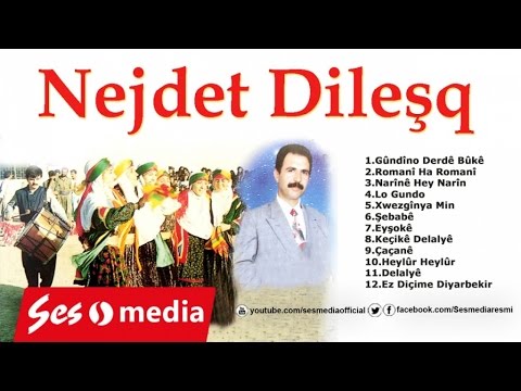Nejdet Dileşq - Narinê Hey Narînê